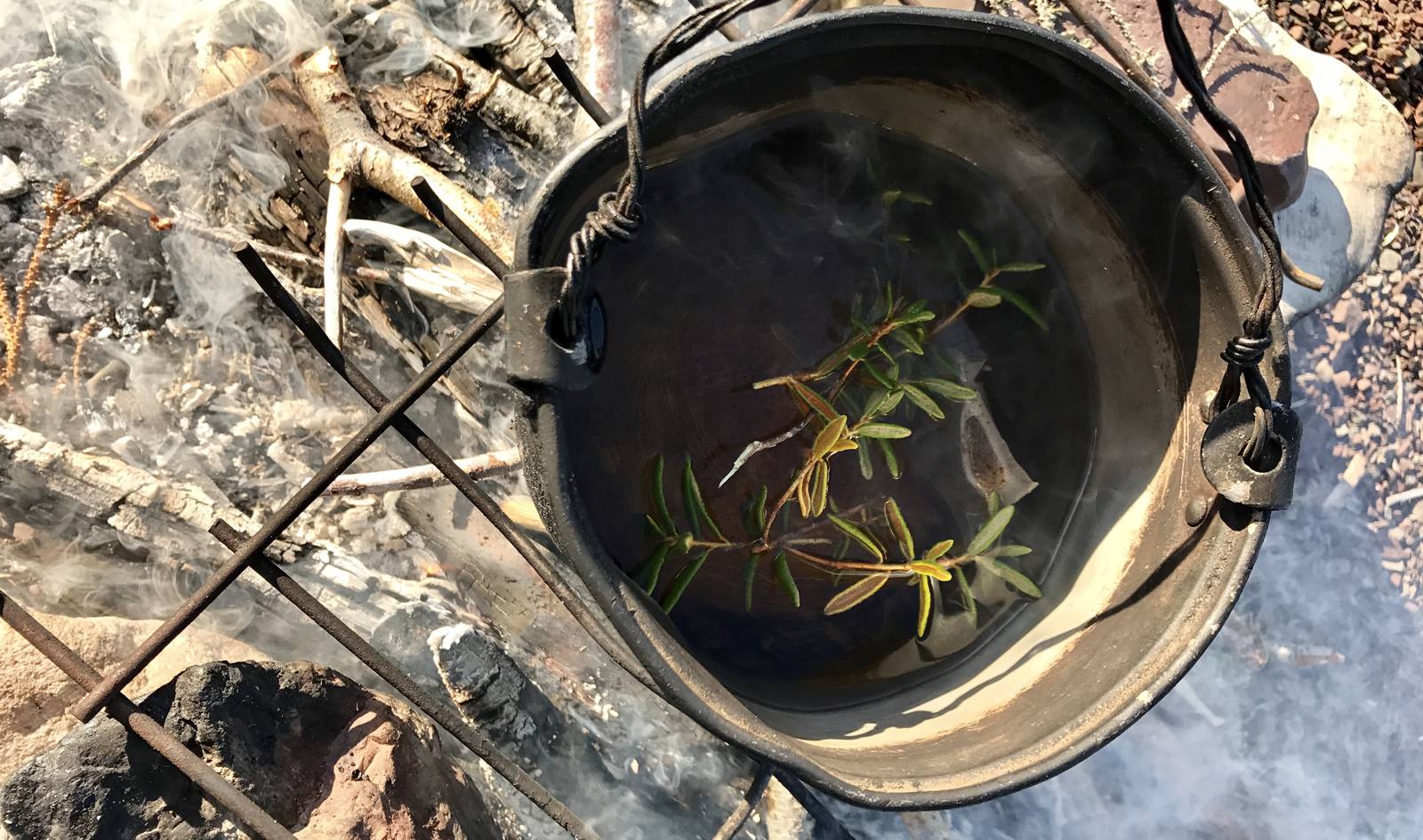 Fireweed Counselling – Counselling and therapy in downtown Yellowknife ...